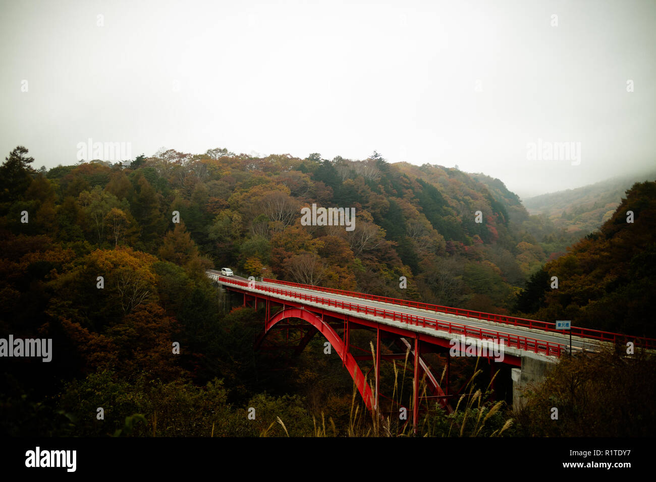 A red bridge stretching across a Japanese valley covered in Autumnal ...