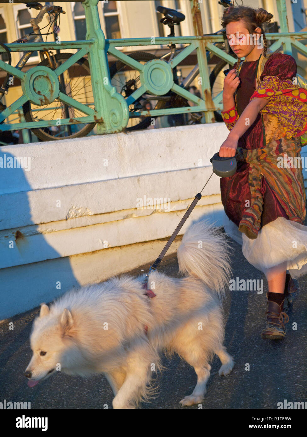A gill takes her dog for a walk in Brighton Stock Photo - Alamy