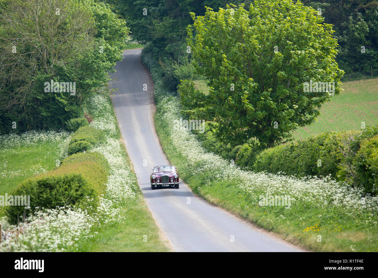 Motorist driving 1961 British made Alvis TD21 DHC Series 1 drophead ...