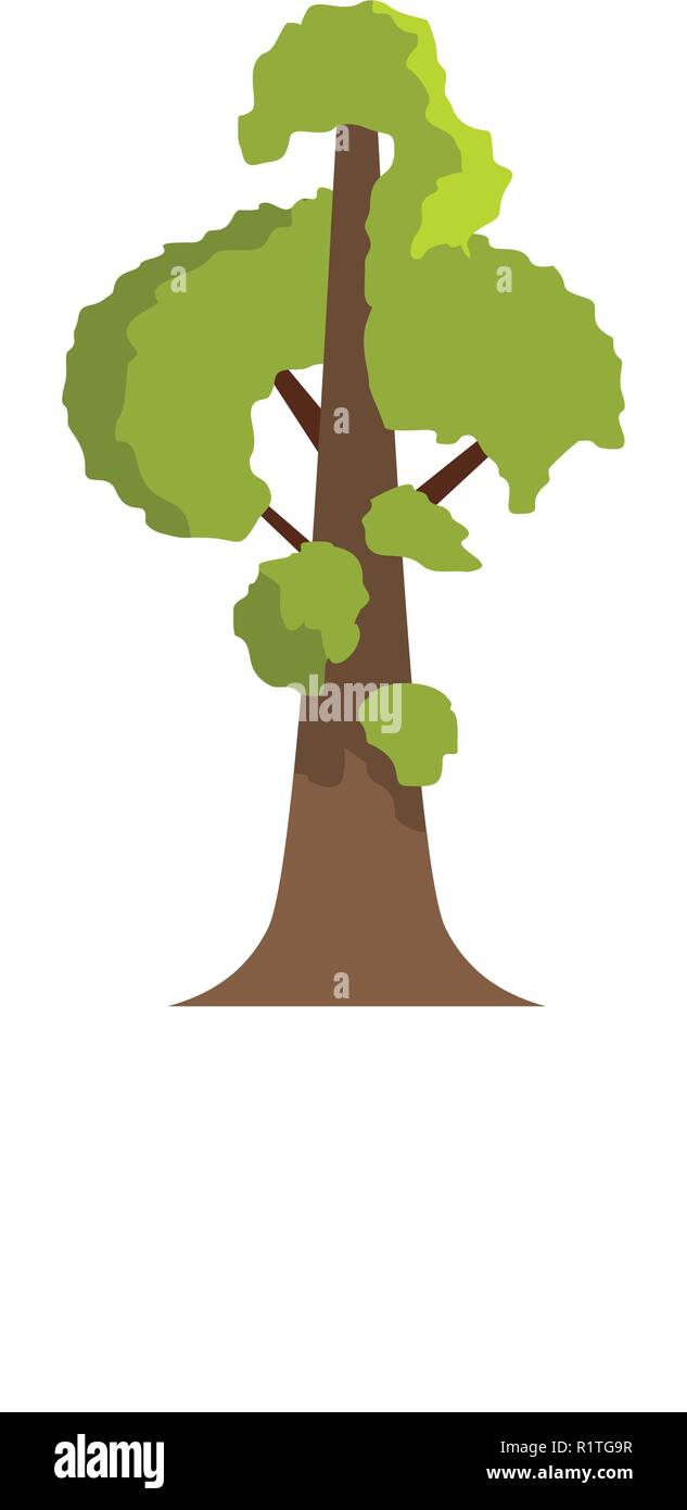 Sequoia icon. Flat illustration of sequoia vector icon isolated on ...