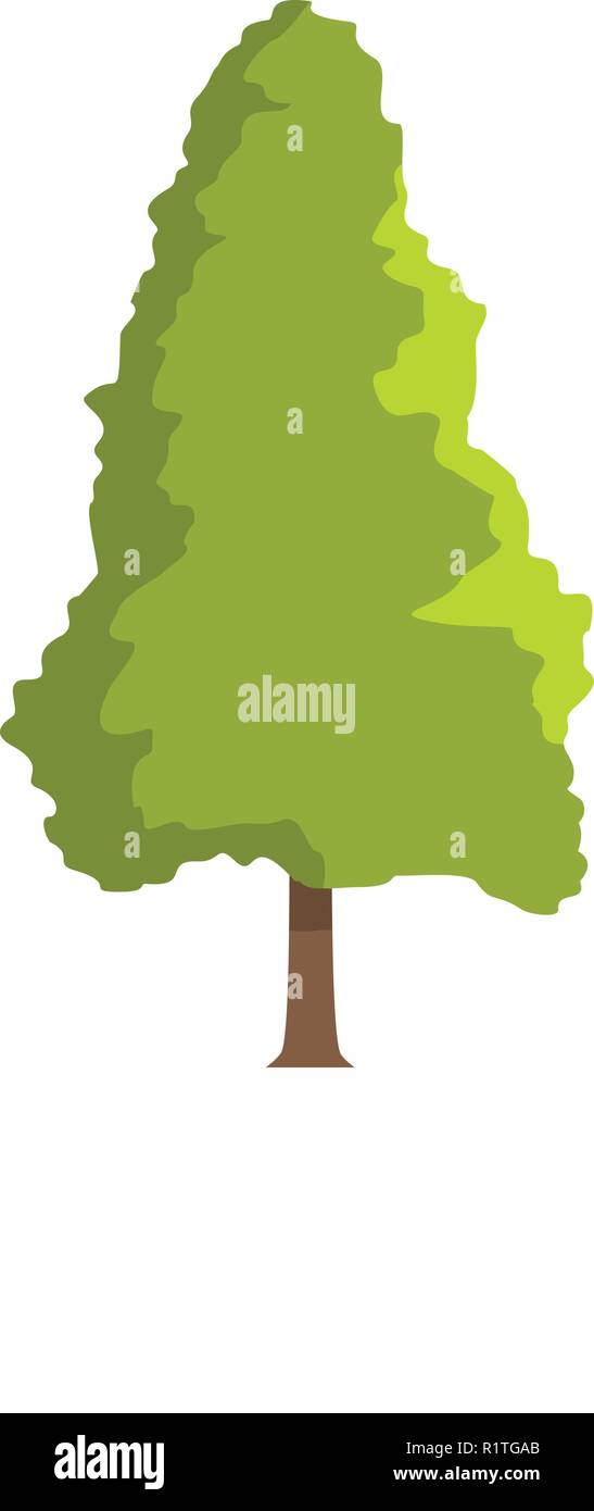 Yew tree icon. Flat illustration of yew tree vector icon isolated on ...