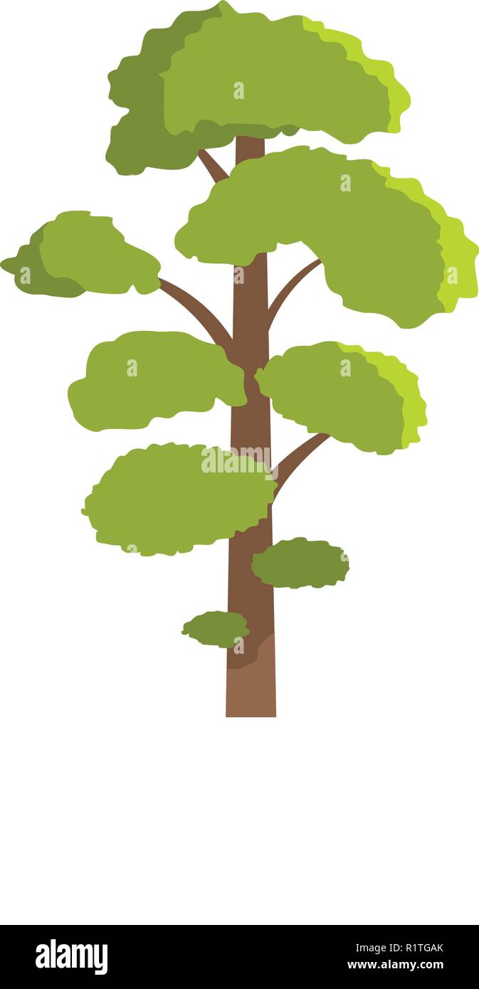 Elm tree icon. Flat illustration of elm tree vector icon isolated on ...