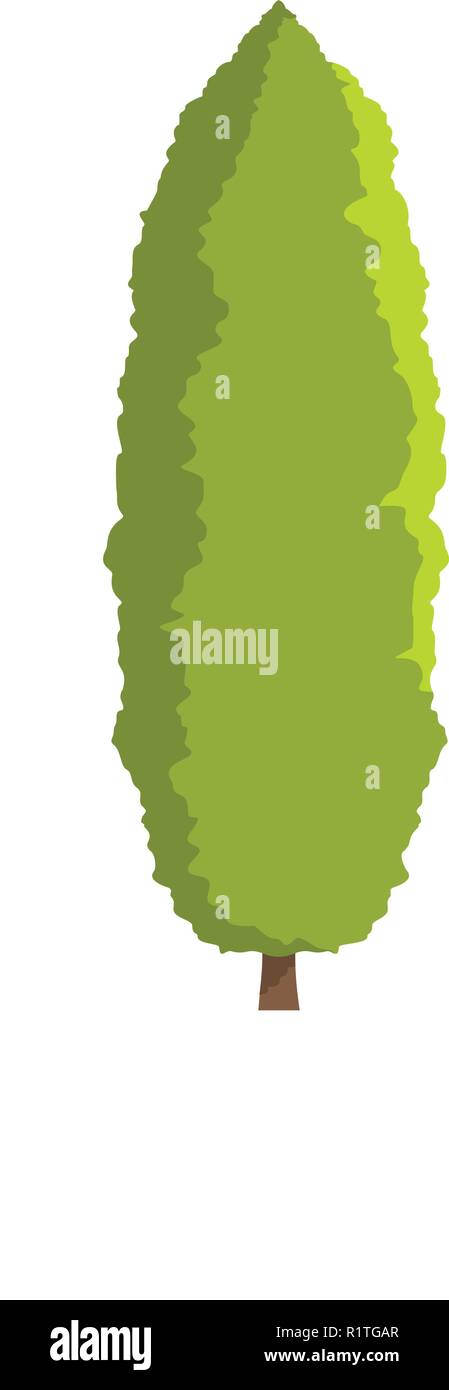 Thuja tree icon. Flat illustration of thuja tree vector icon isolated ...