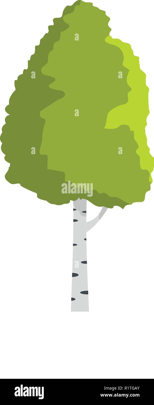 Birch tree icon. Flat illustration of birch tree vector icon isolated ...
