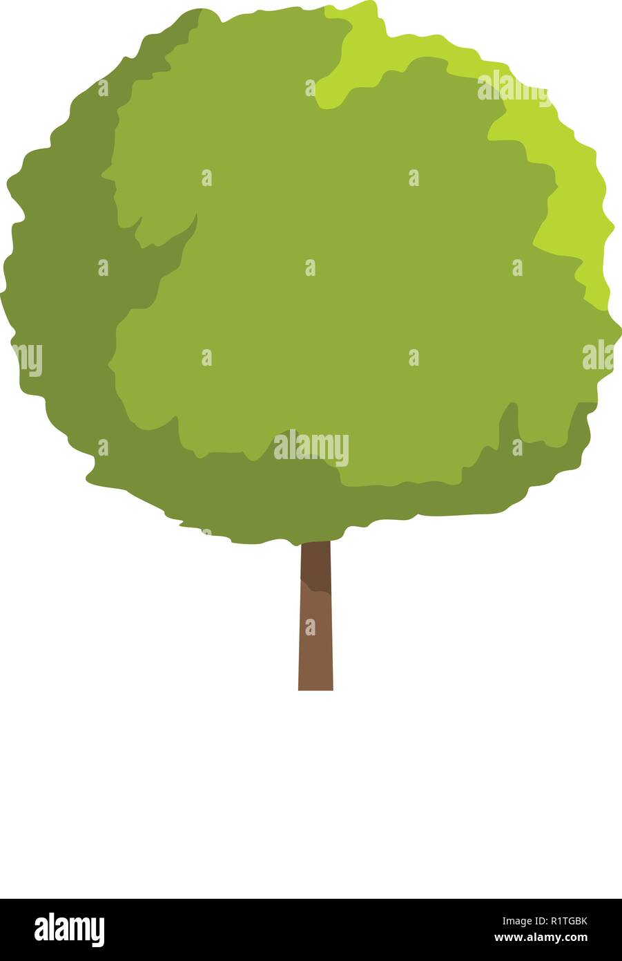 Maple tree icon. Flat illustration of maple tree vector icon isolated ...