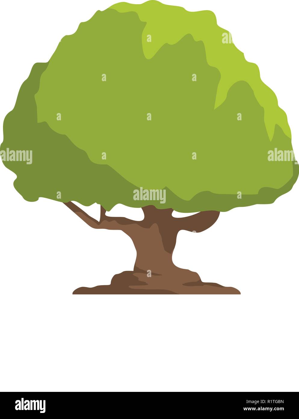 Oak tree icon. Flat illustration of oak tree vector icon isolated on ...