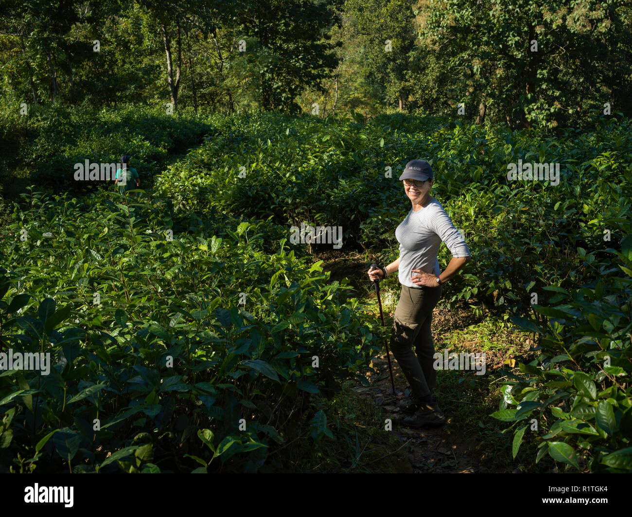 Darjeeling tea woman hi-res stock photography and images - Alamy