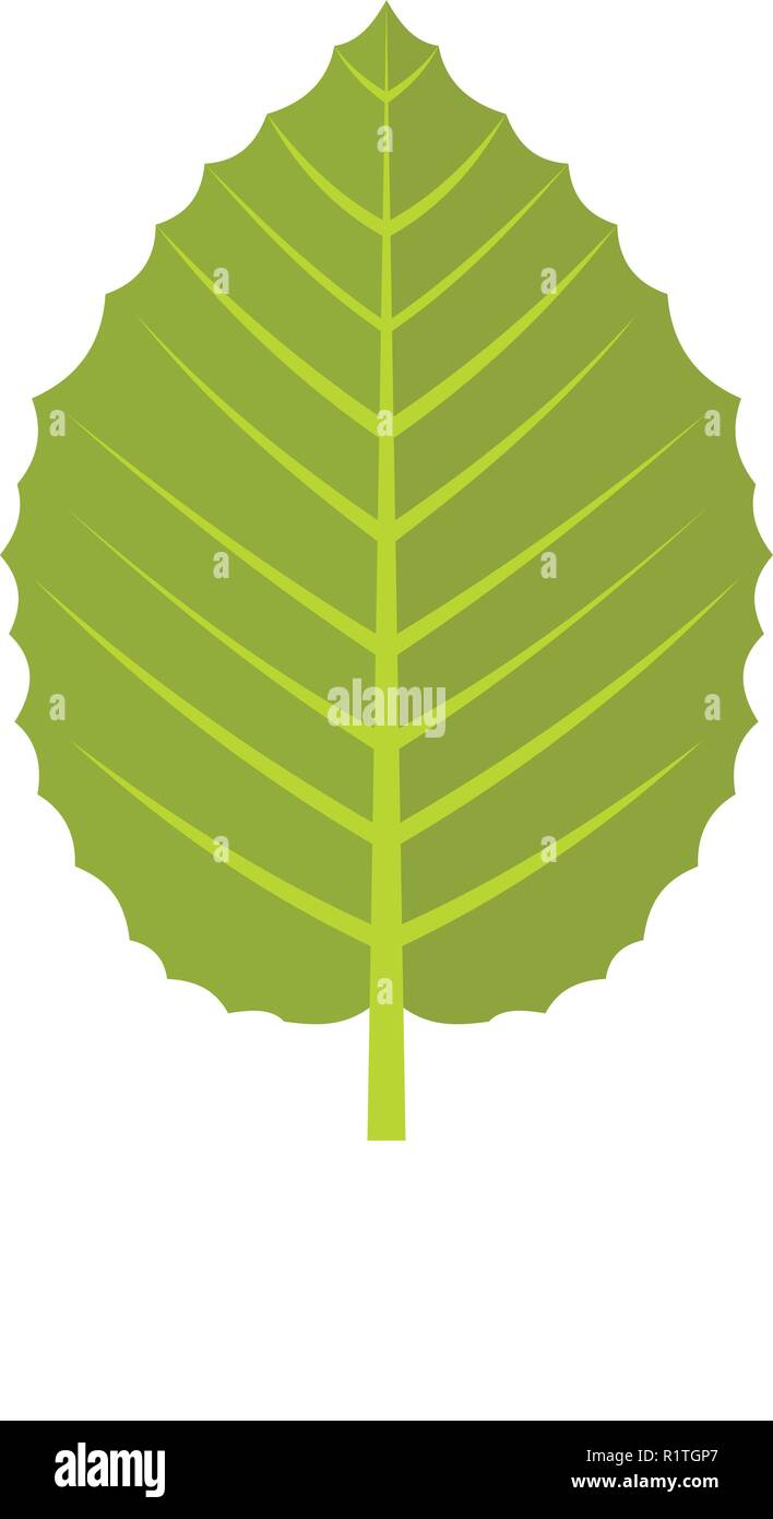 Hazel leaf icon. Flat illustration of hazel leaf vector icon isolated ...