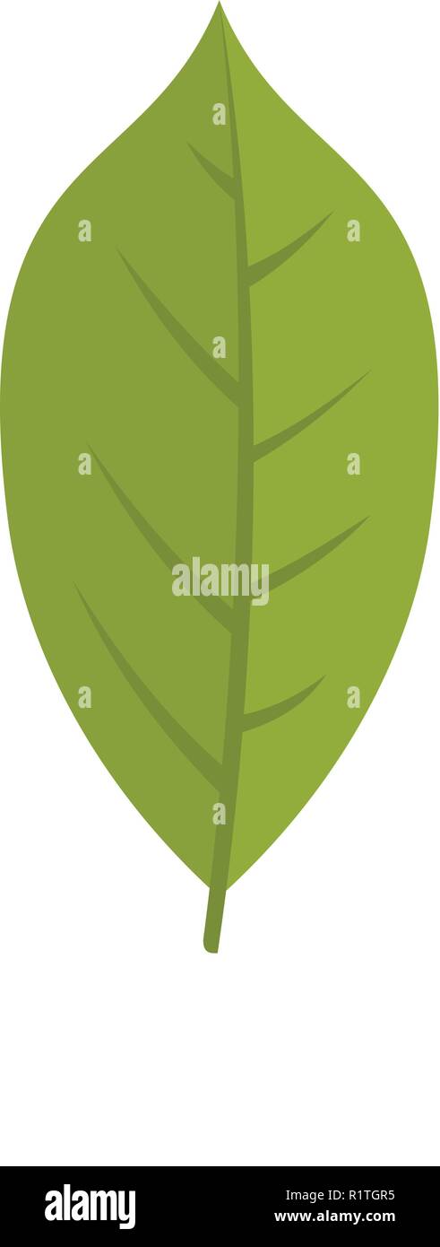 Lemon leaf icon. Flat illustration of lemon leaf vector icon isolated ...