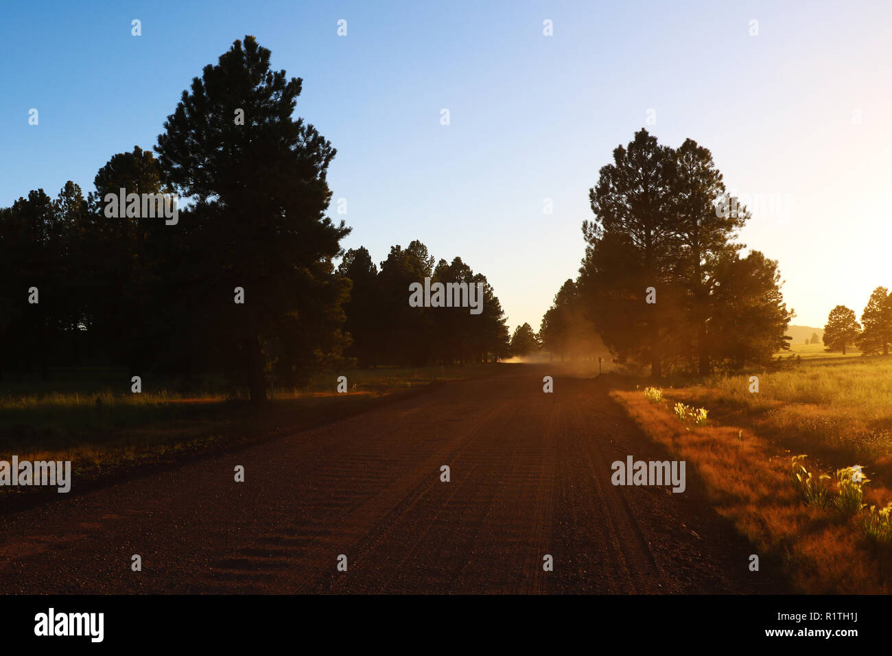 Bright sunny farm view hi-res stock photography and images - Alamy