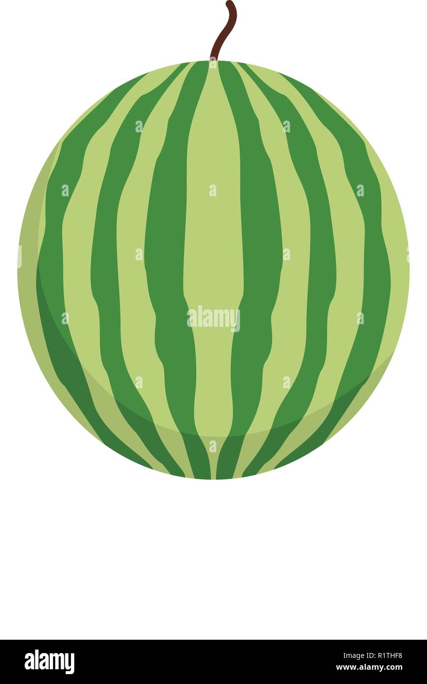 Watermelon icon. Flat illustration of watermelon vector icon isolated ...