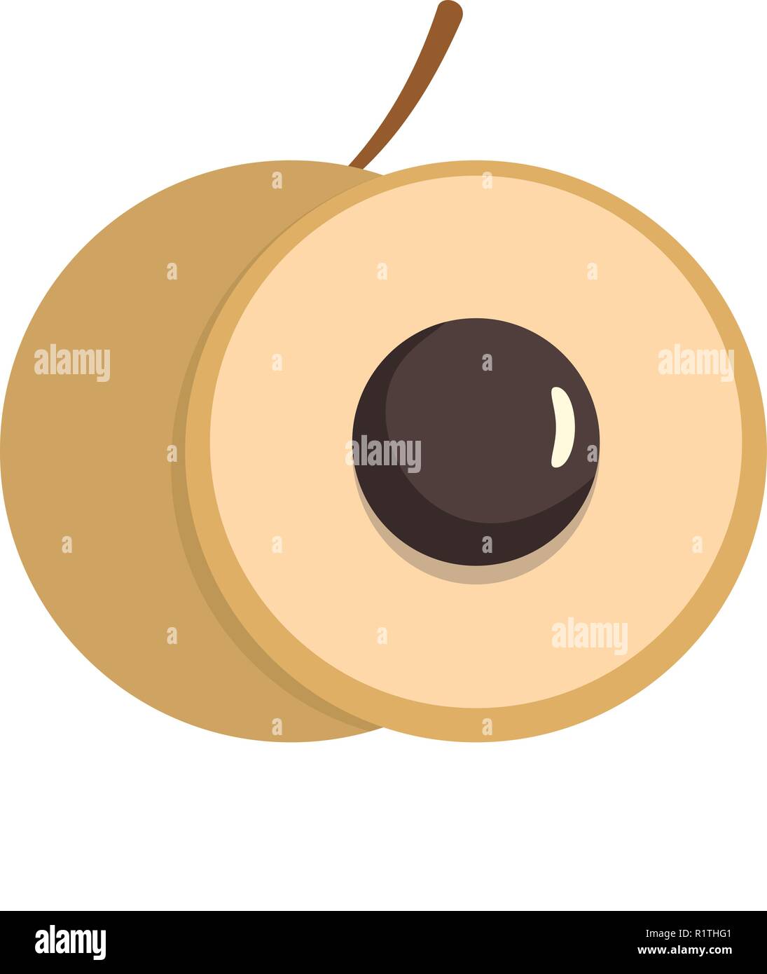 Longan icon. Flat illustration of longan vector icon isolated on white ...