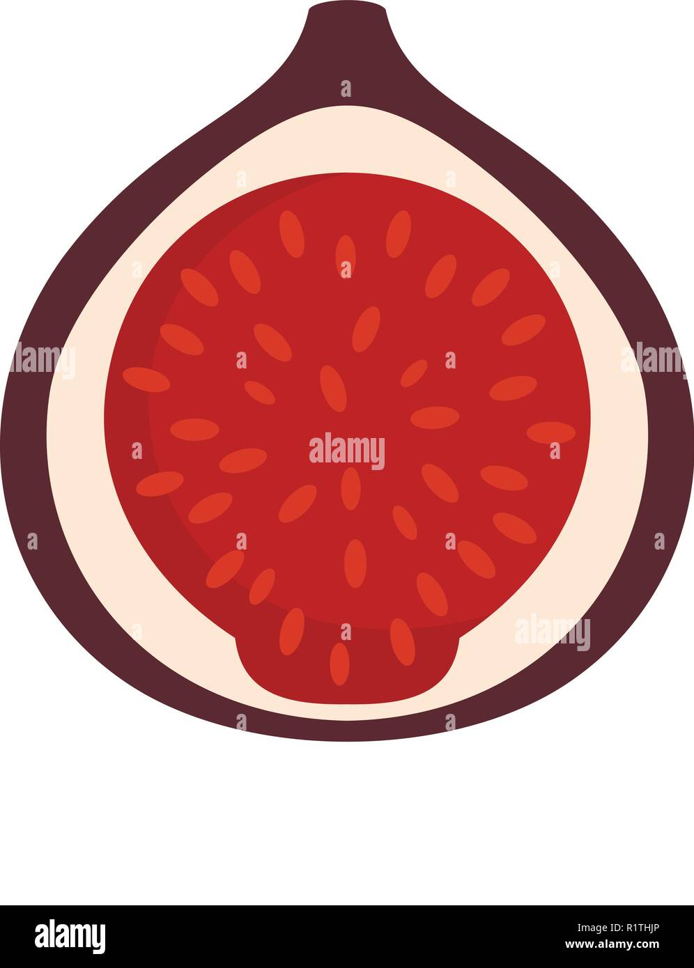 Fig icon. Flat illustration of fig vector icon isolated on white ...