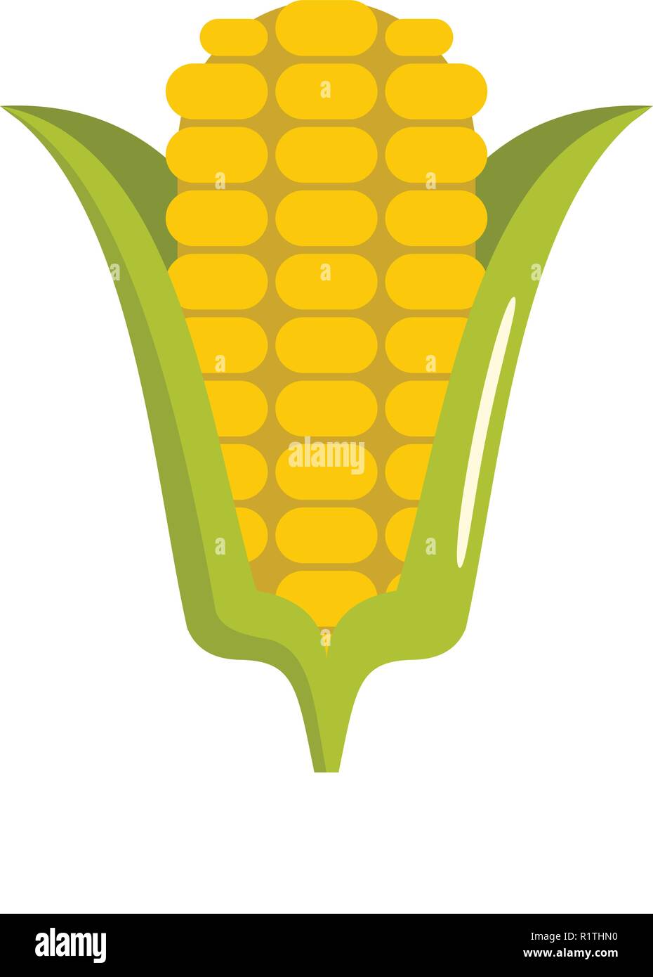 Corn icon. Flat illustration of corn vector icon isolated on white ...