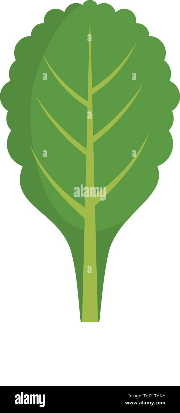 Spinach icon. Flat illustration of spinach vector icon isolated on ...