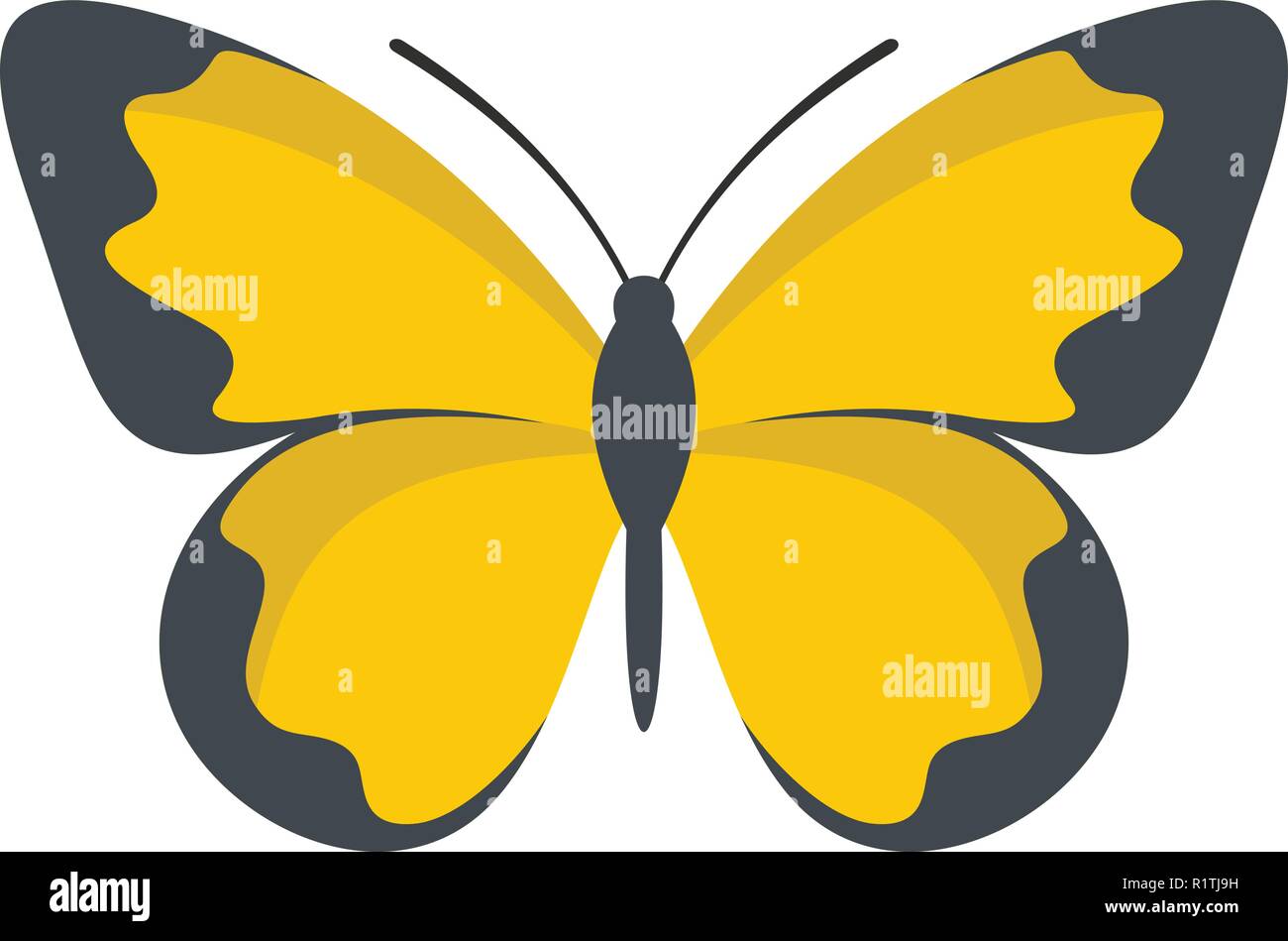 Flying butterfly icon. Flat illustration of flying butterfly vector ...