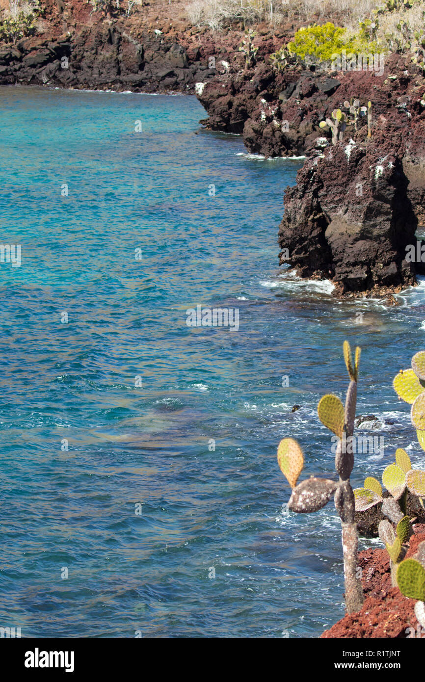 Galapagos tourism environment hi-res stock photography and images - Alamy