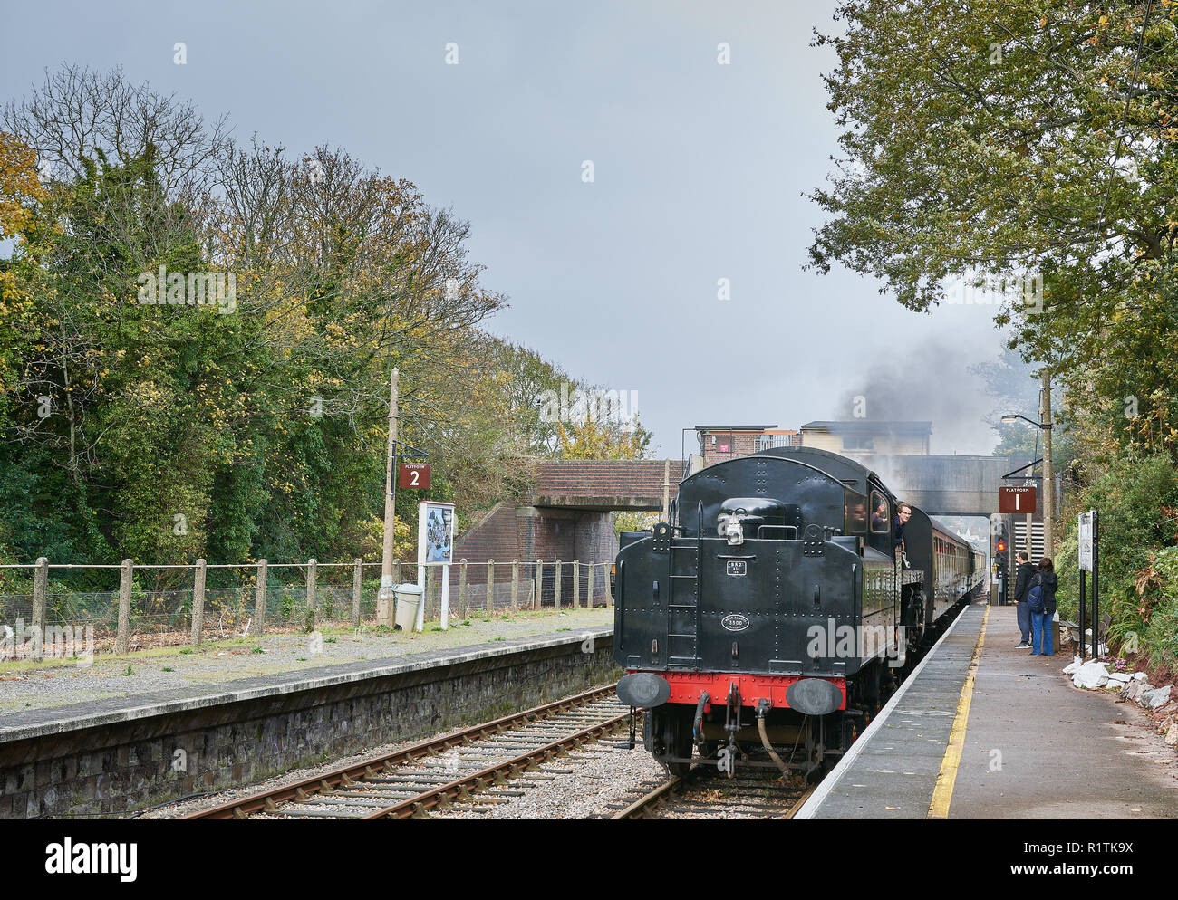 Engine 75014, named 'Braveheart', and carriages (Paignton and Dartmouth ...