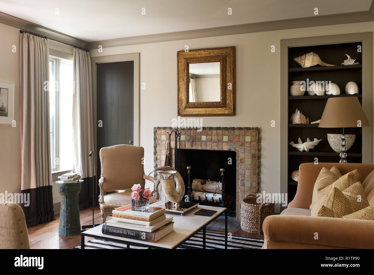 Living room with seashell collection Stock Photo - Alamy