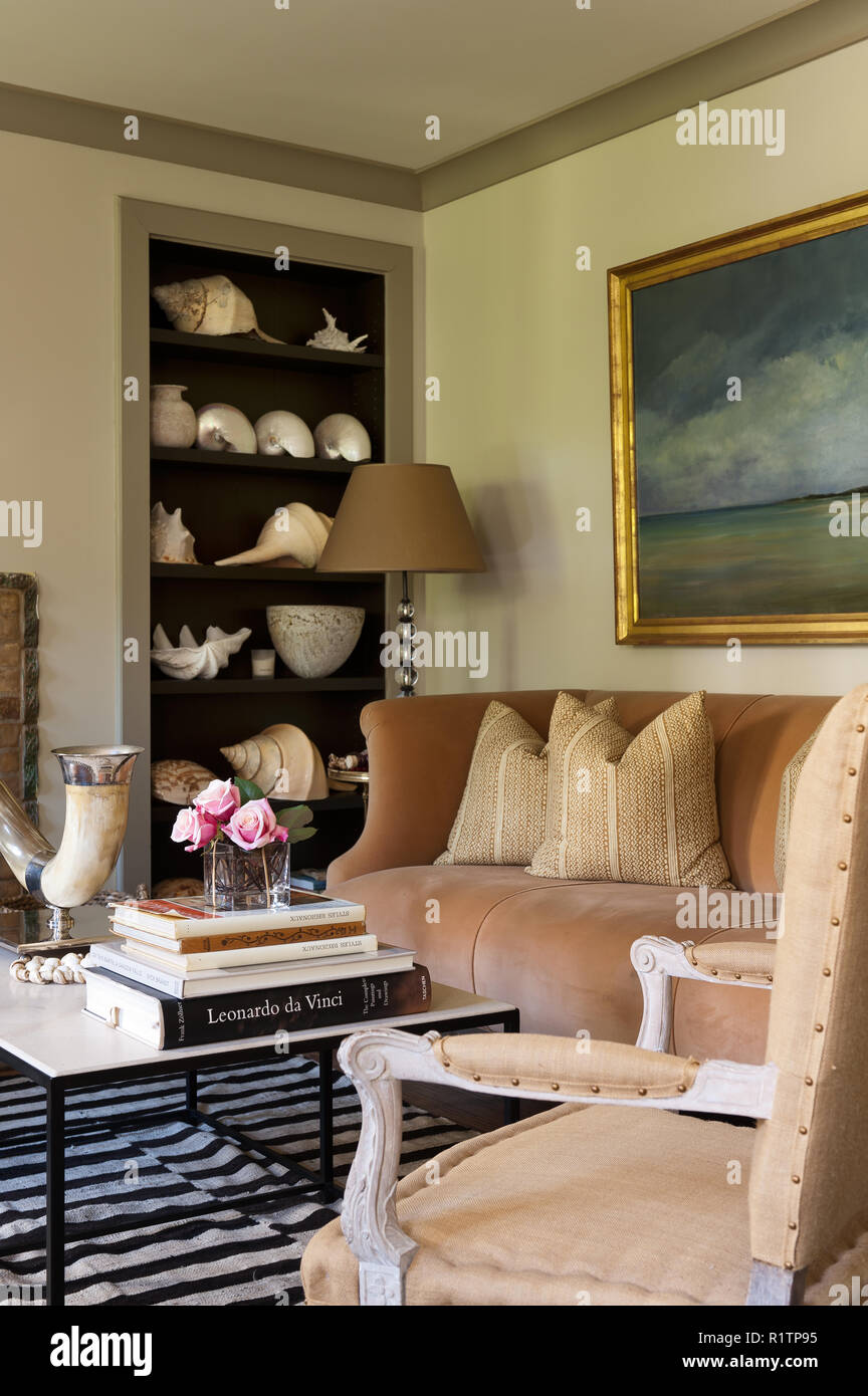 Shell collection display hi-res stock photography and images - Alamy