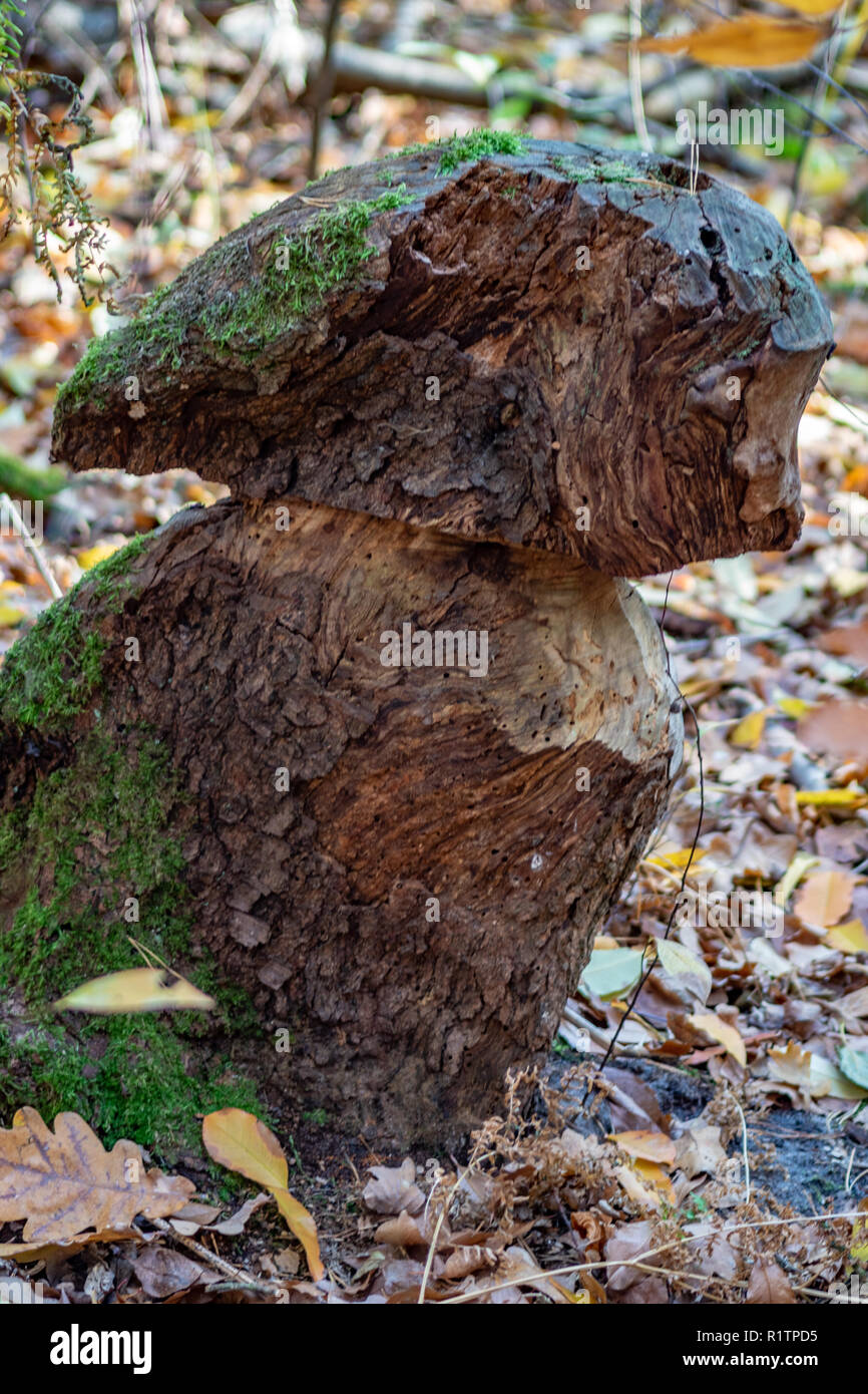 Old tree trunk looking like natural wooden sculpture Briesetal Stock ...