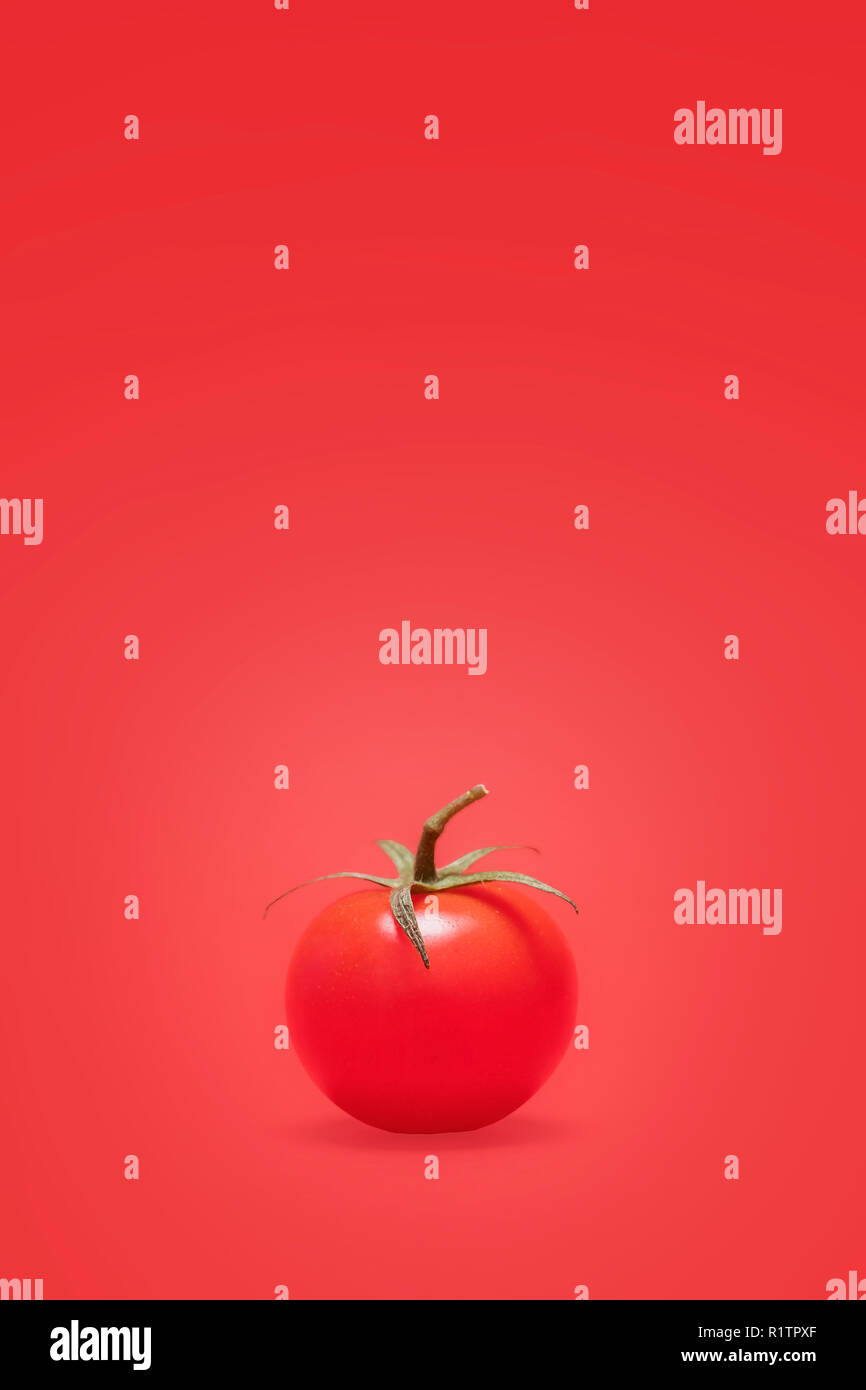 Single red ripe cherry tomato on a matching red background positioned ...