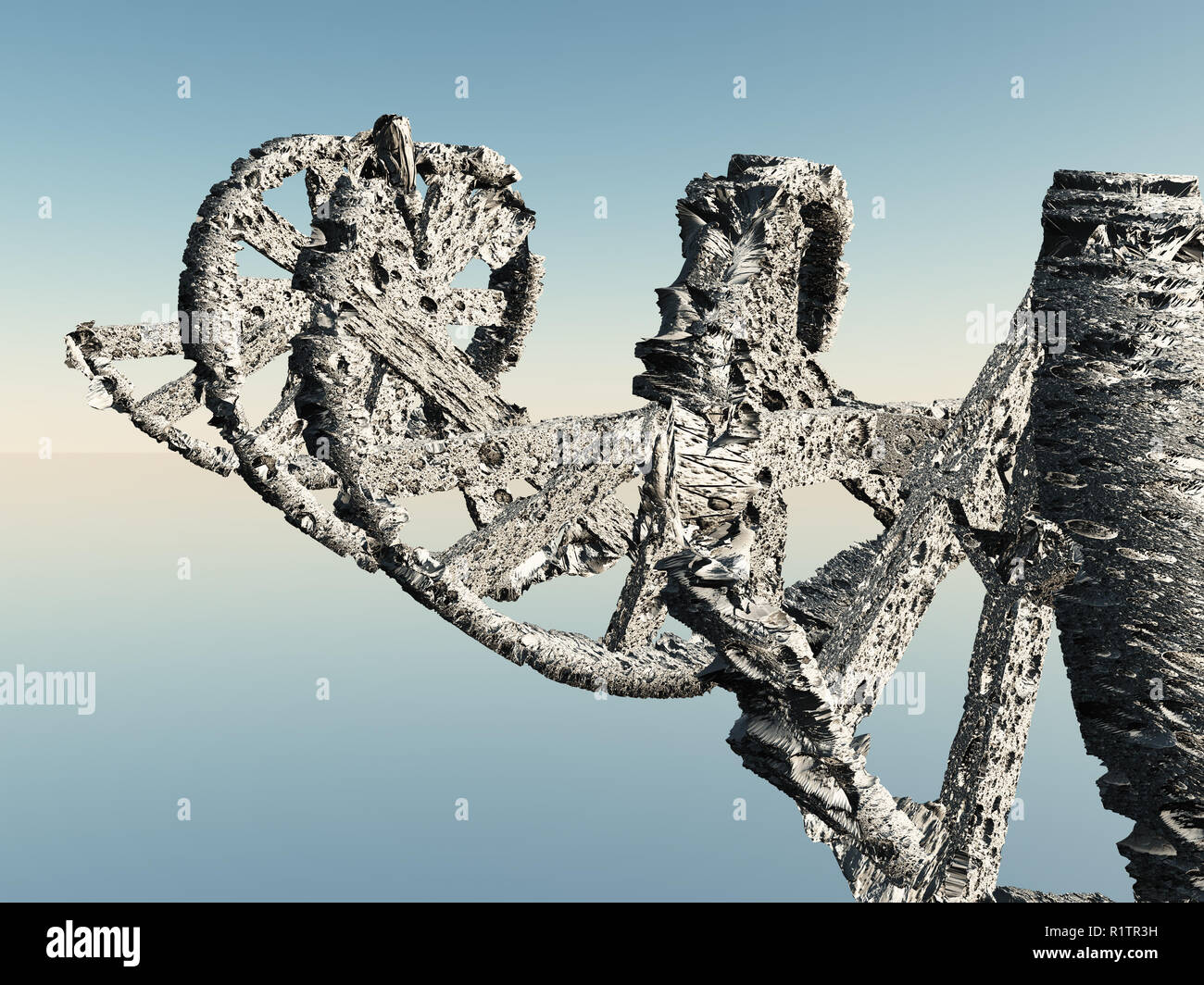 Microscopic structure of bone hi-res stock photography and images - Alamy