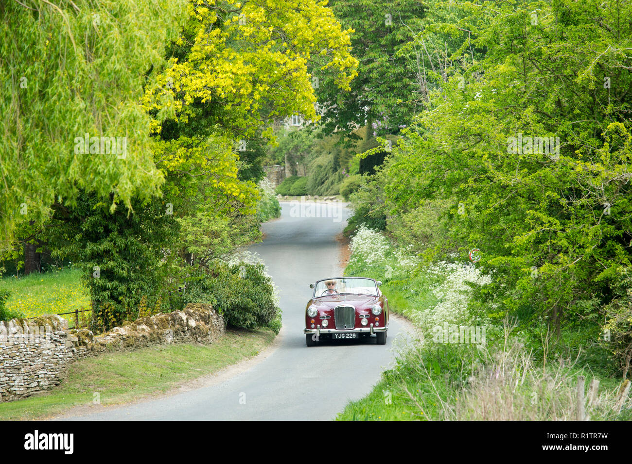 Motorist driving 1961 British made Alvis TD21 DHC Series 1 drophead ...