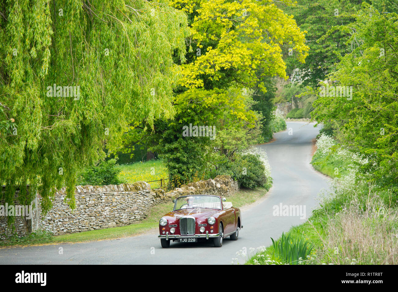 Motorist driving 1961 British made Alvis TD21 DHC Series 1 drophead ...