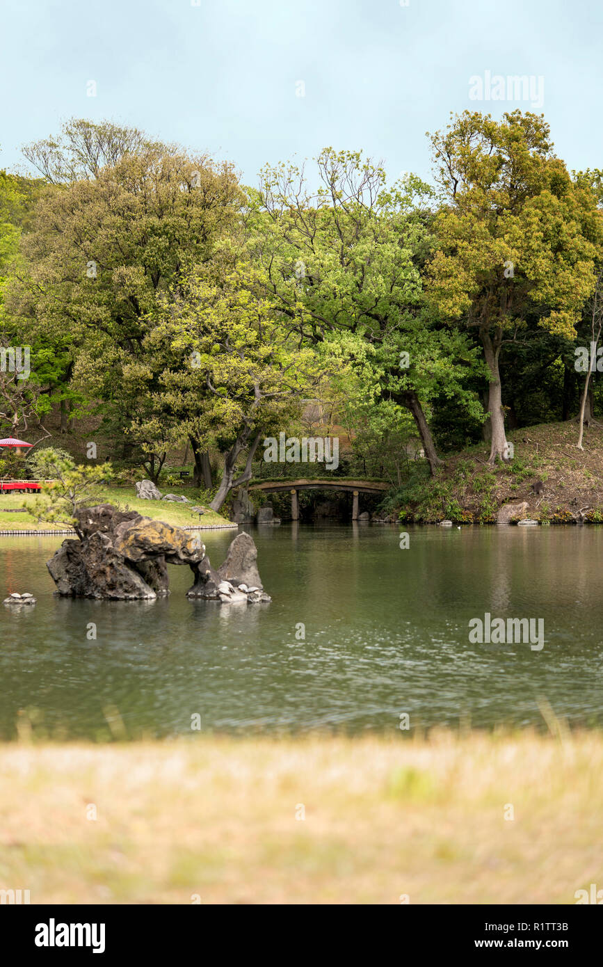 Turtles on the stone islet Houraijima and the wooden japanese bridge ...