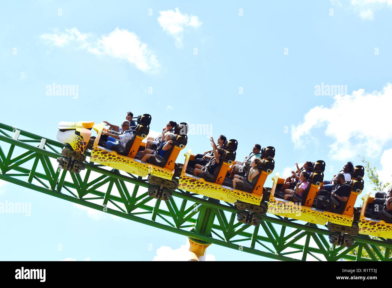 Cheetah hunt roller coaster hi-res stock photography and images - Alamy