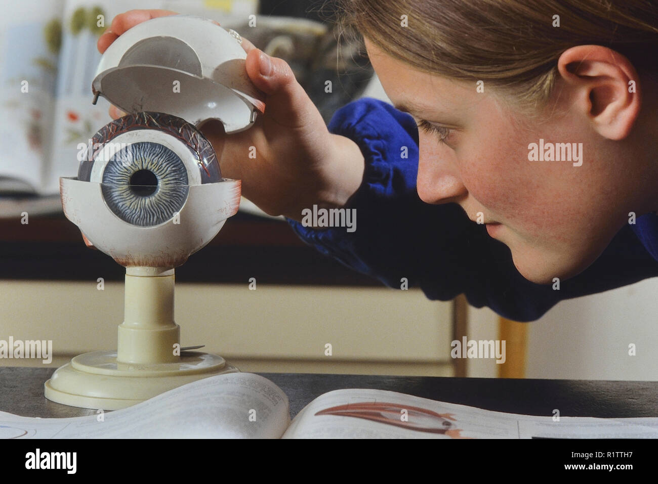 Human eye anatomy scientific hi-res stock photography and images - Alamy