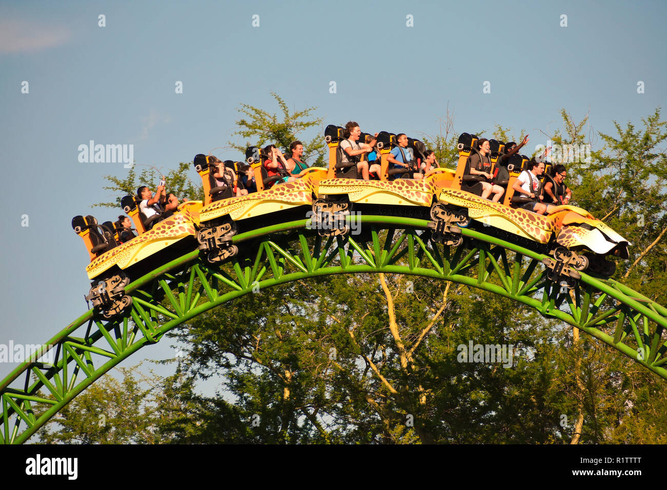 Cheetah hunt coaster hi-res stock photography and images - Alamy