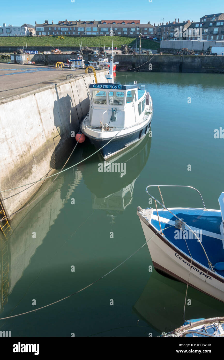 Fishing boats in and around Seahouses Harbour, Northumberland, UK Stock ...
