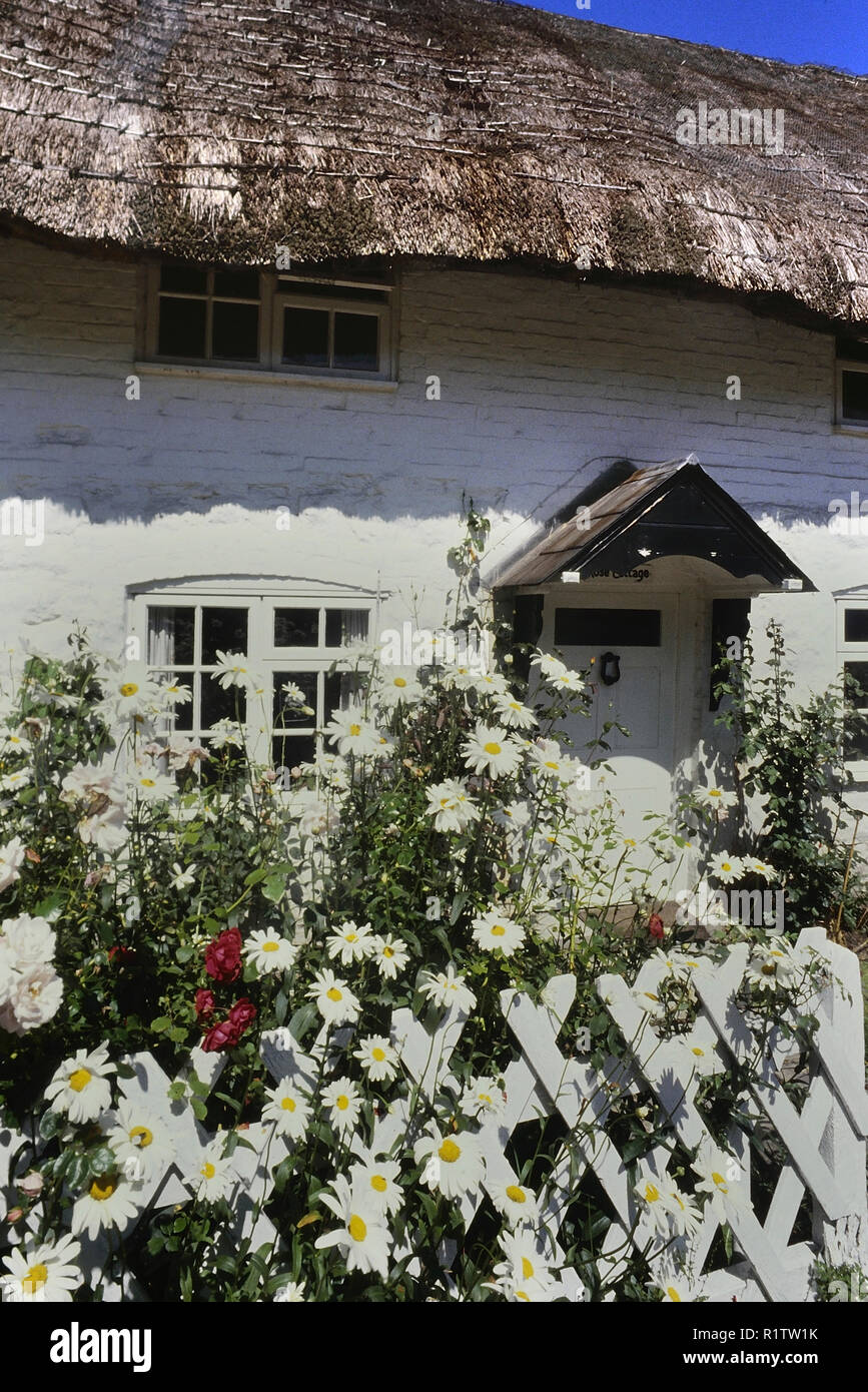 Cute thatched cottage hi-res stock photography and images - Alamy