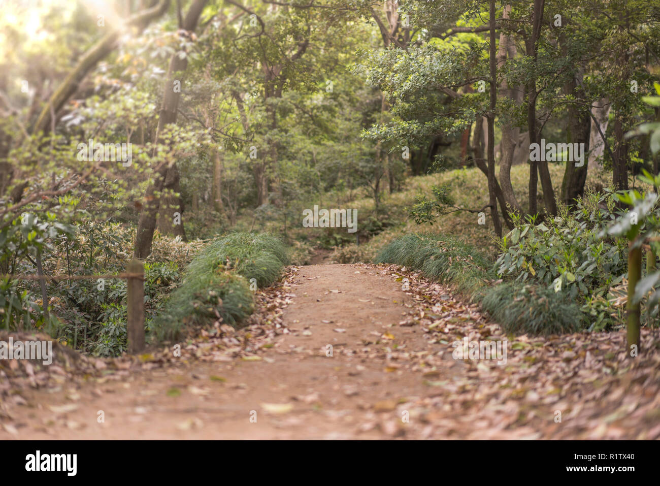Fujinami hi-res stock photography and images - Alamy