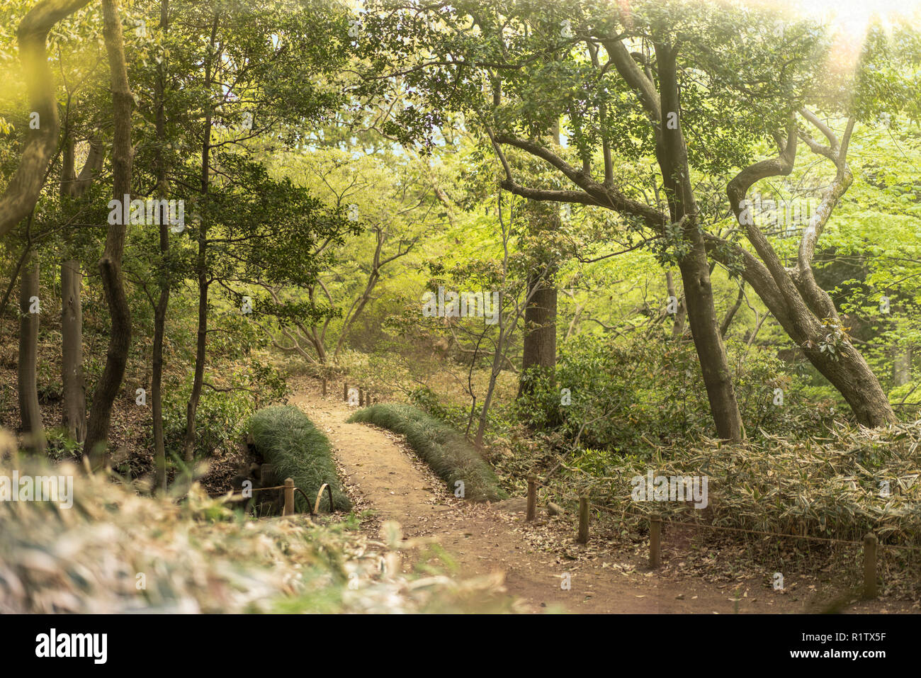 Fujinami hi-res stock photography and images - Alamy