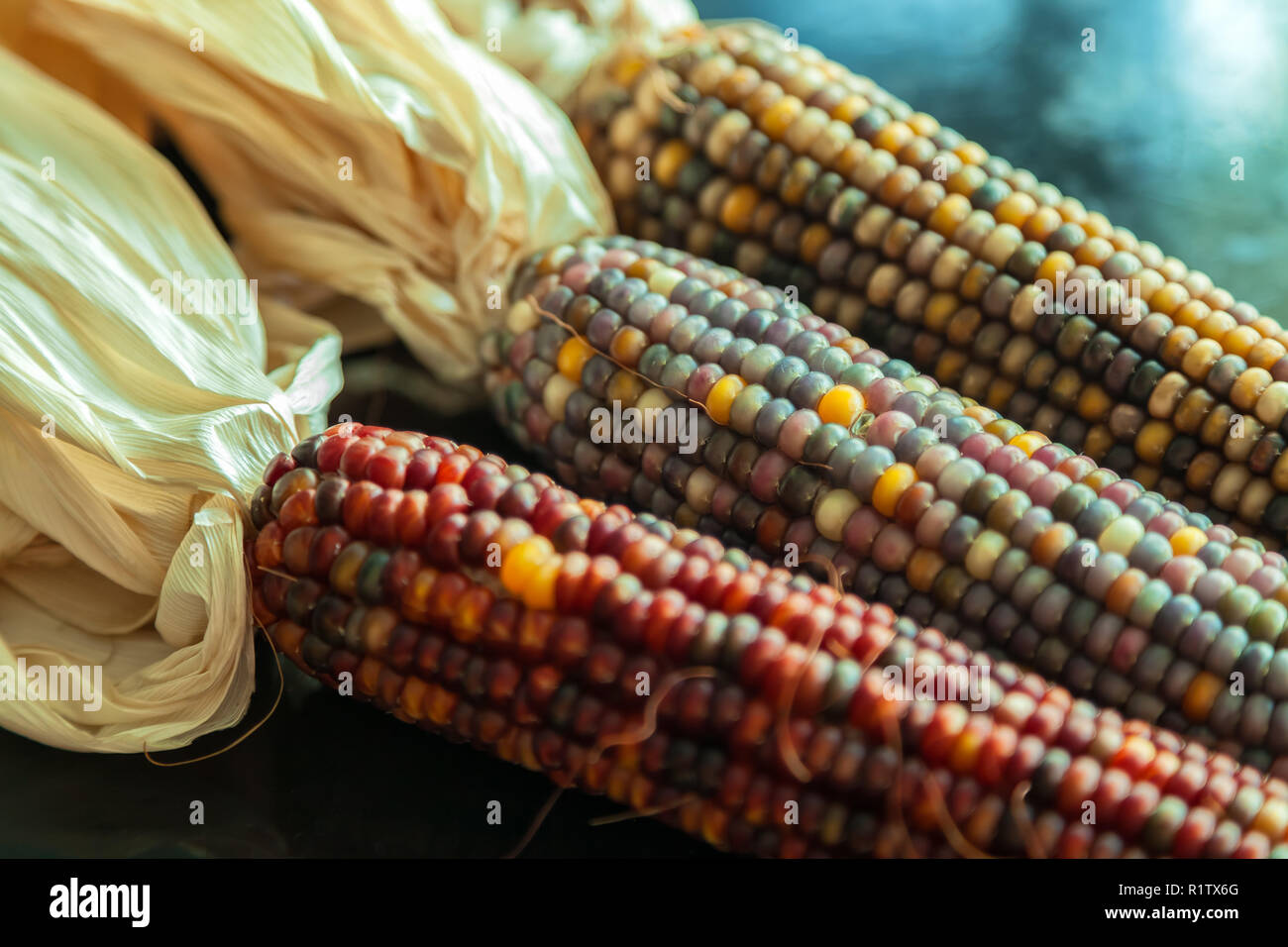 Colorful corns hi-res stock photography and images - Alamy