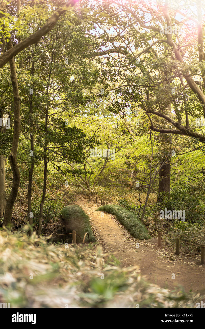 Fujinami hi-res stock photography and images - Alamy