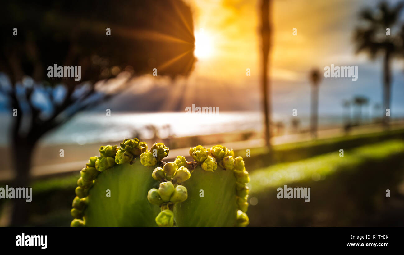 Beautiful promenade beach landscape hi-res stock photography and images ...