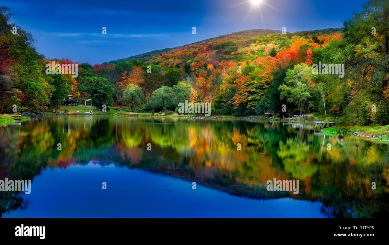 Enchanted forest moon hi-res stock photography and images - Alamy