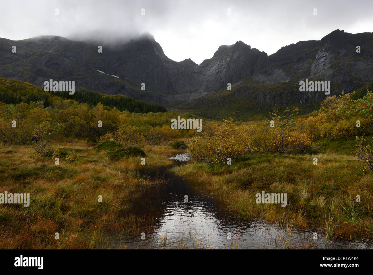 Boggy ground and dramatic mountains peaks on the Lofoten Islands ...