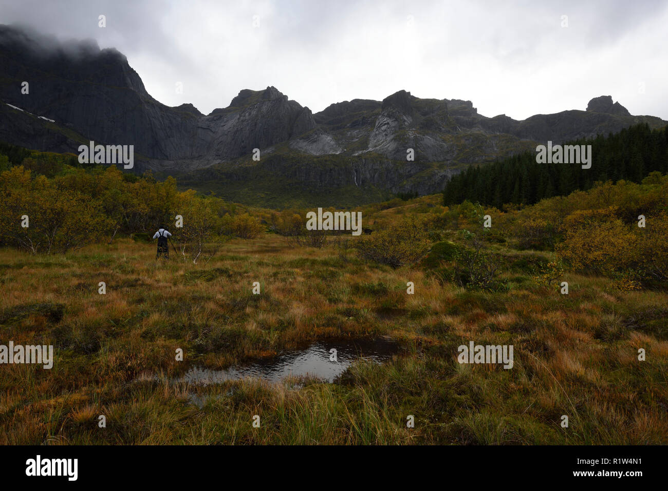 Boggy ground and dramatic mountains peaks on the Lofoten Islands ...