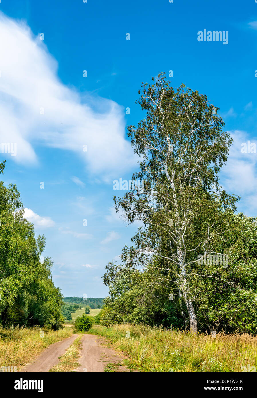 Typical rural landscape of Kursk region, Russia Stock Photo - Alamy