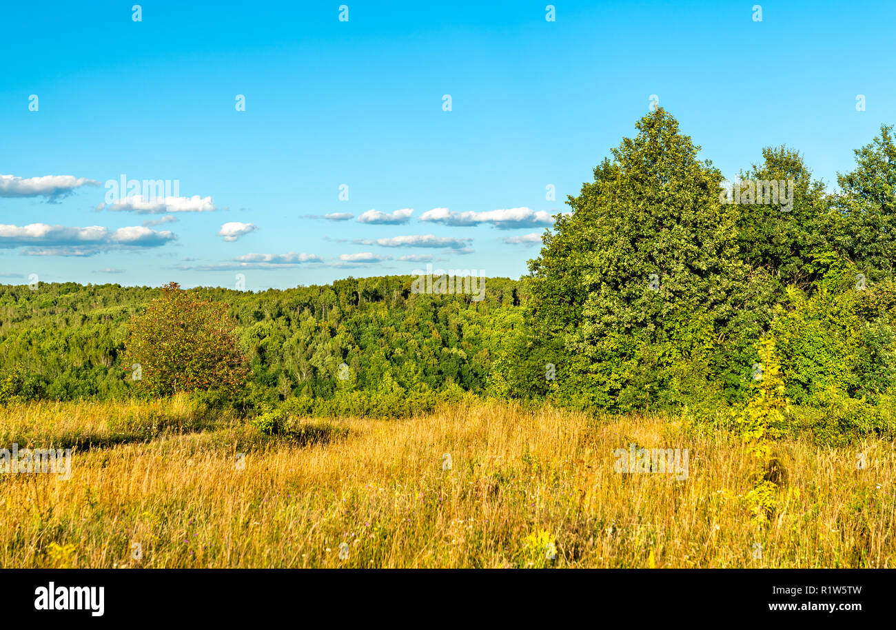 Typical rural landscape of Kursk region, Russia Stock Photo - Alamy