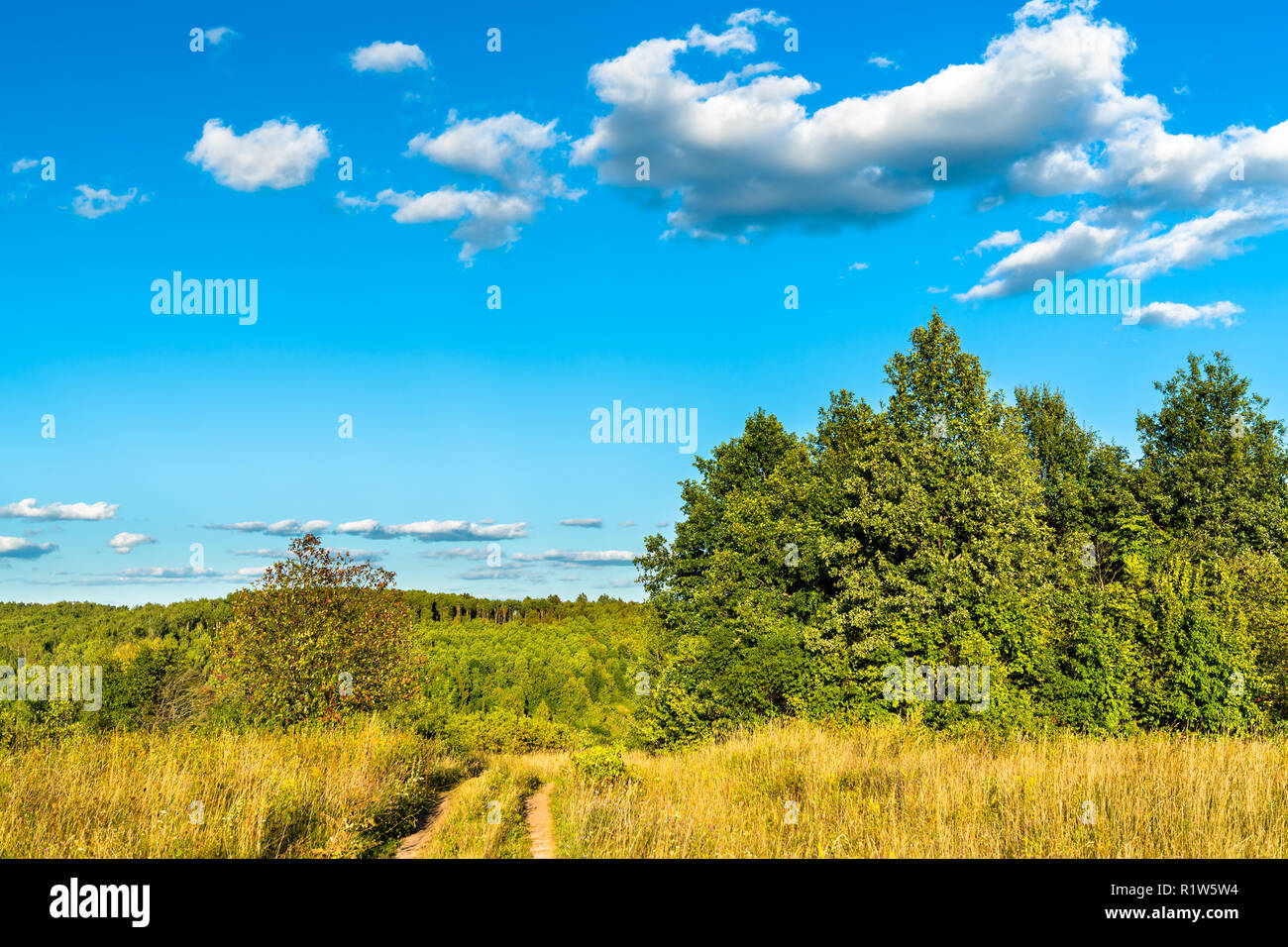 Typical rural landscape of Kursk region, Russia Stock Photo - Alamy