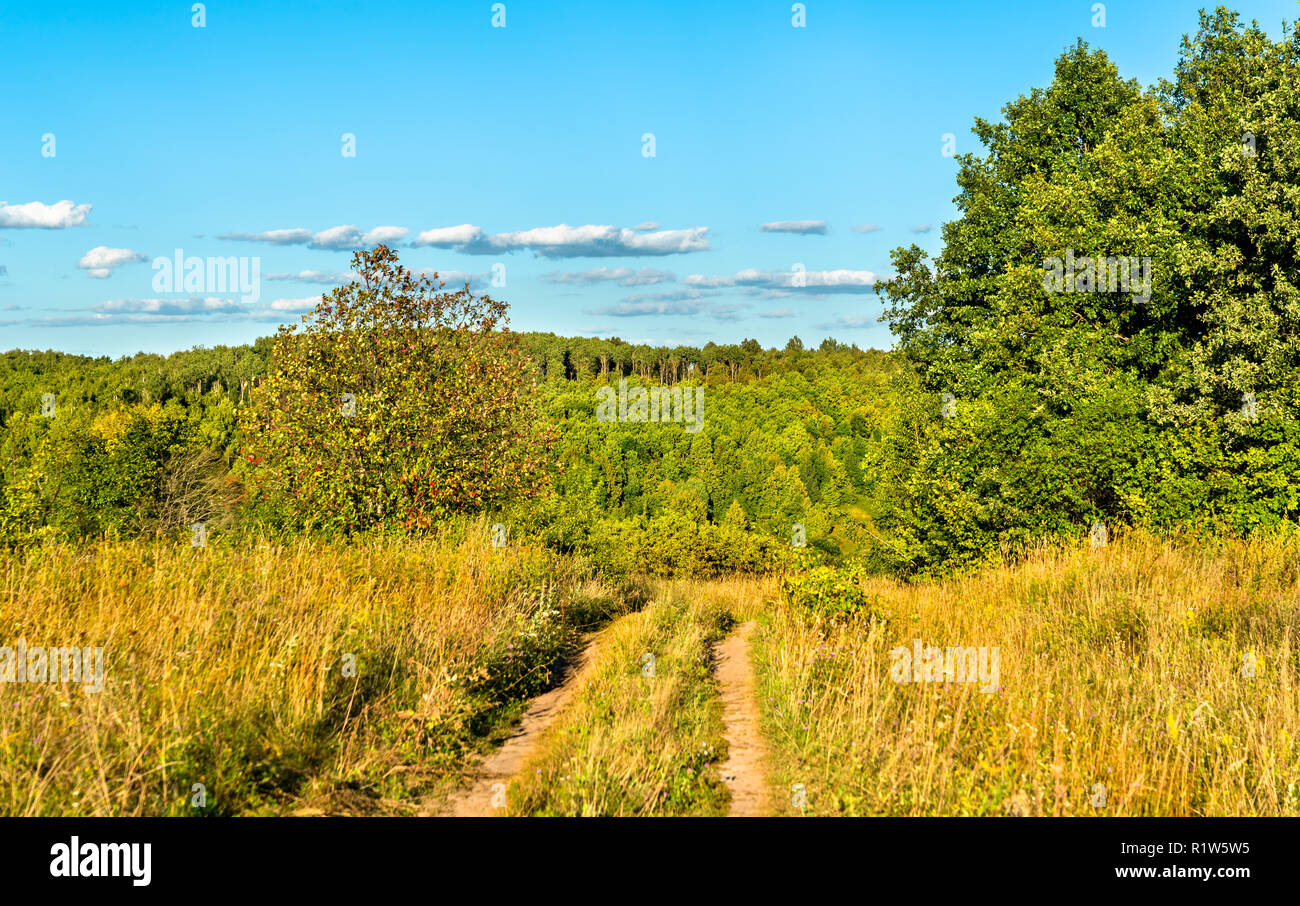 Russia landscape countryside hi-res stock photography and images - Alamy