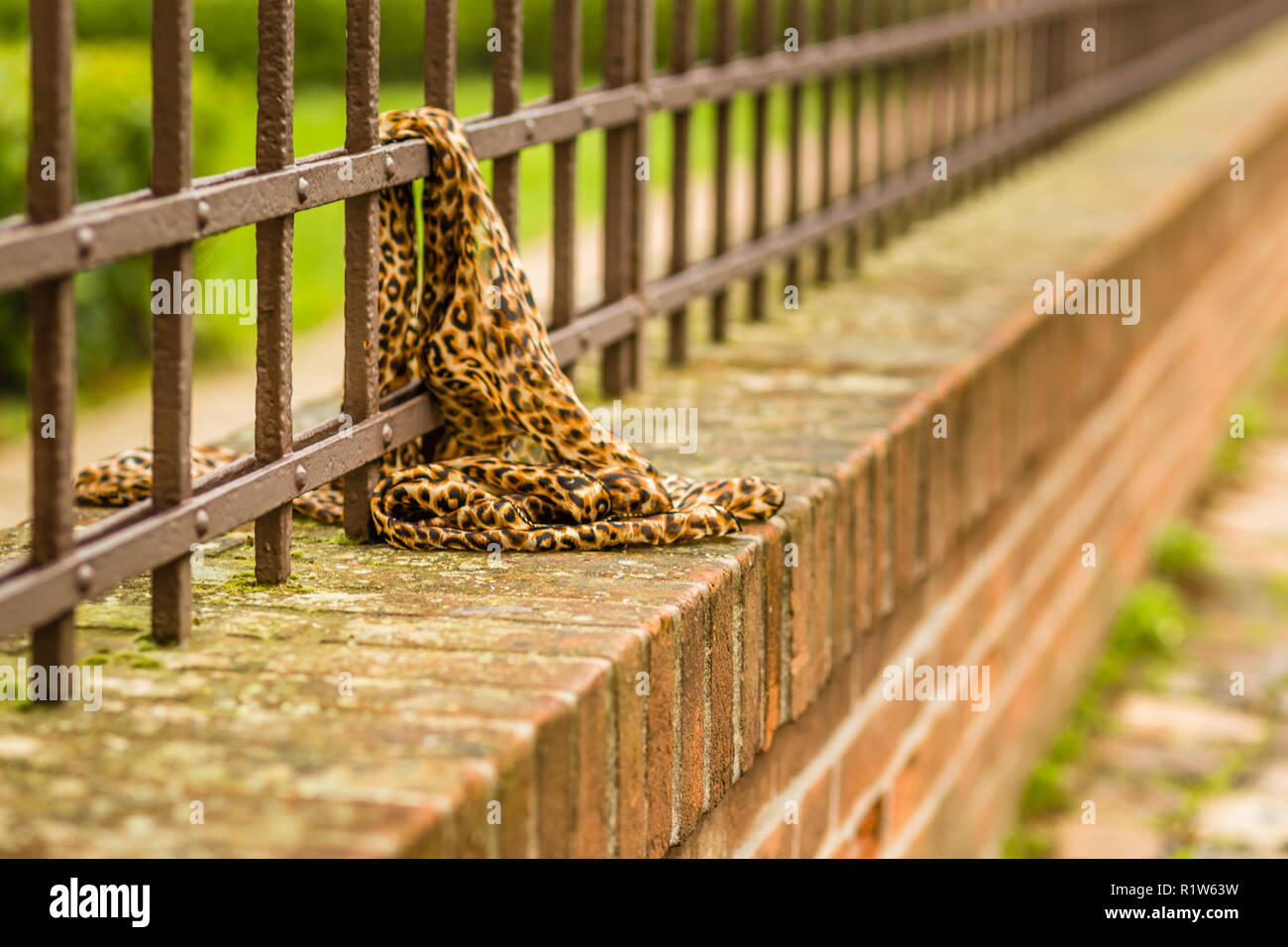 Leopard print scarf hi-res stock photography and images - Alamy