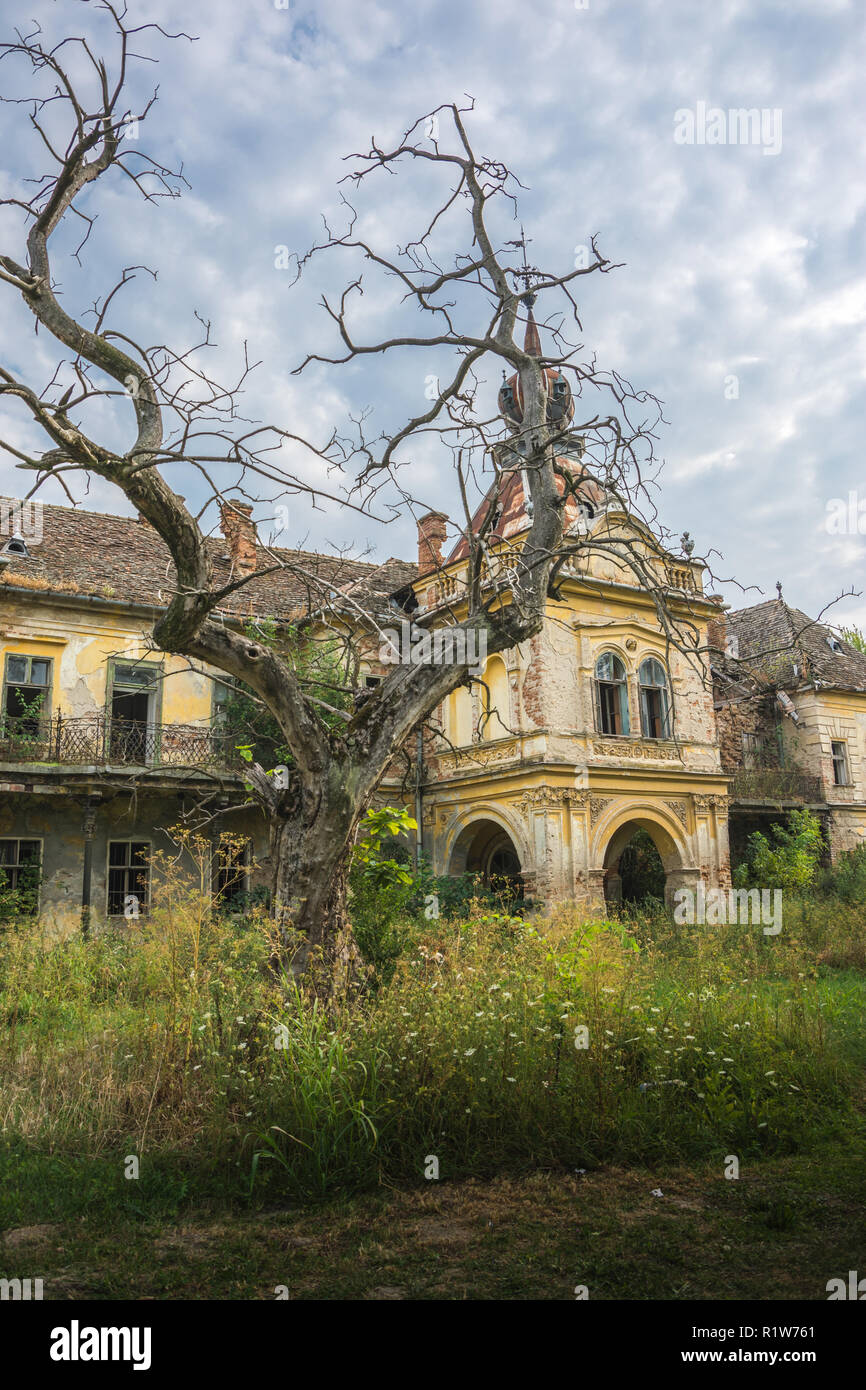 Old abandoned medieval castle with scary tree in the front. Ruin of a ...