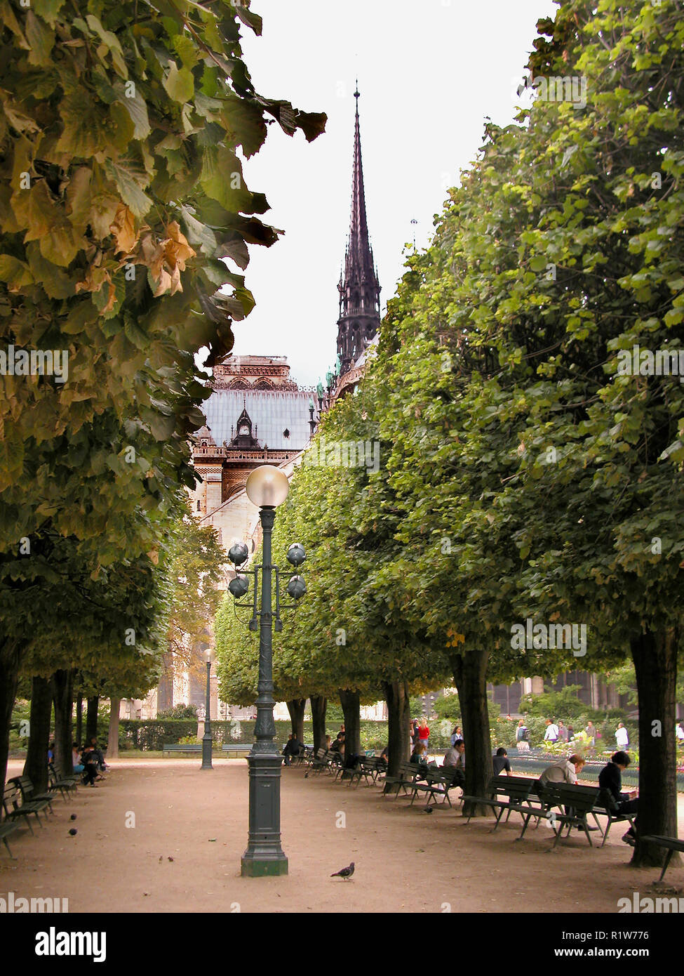 Square Jean XXIII, with the East end of the Notre-Dame beyond: Ile de ...
